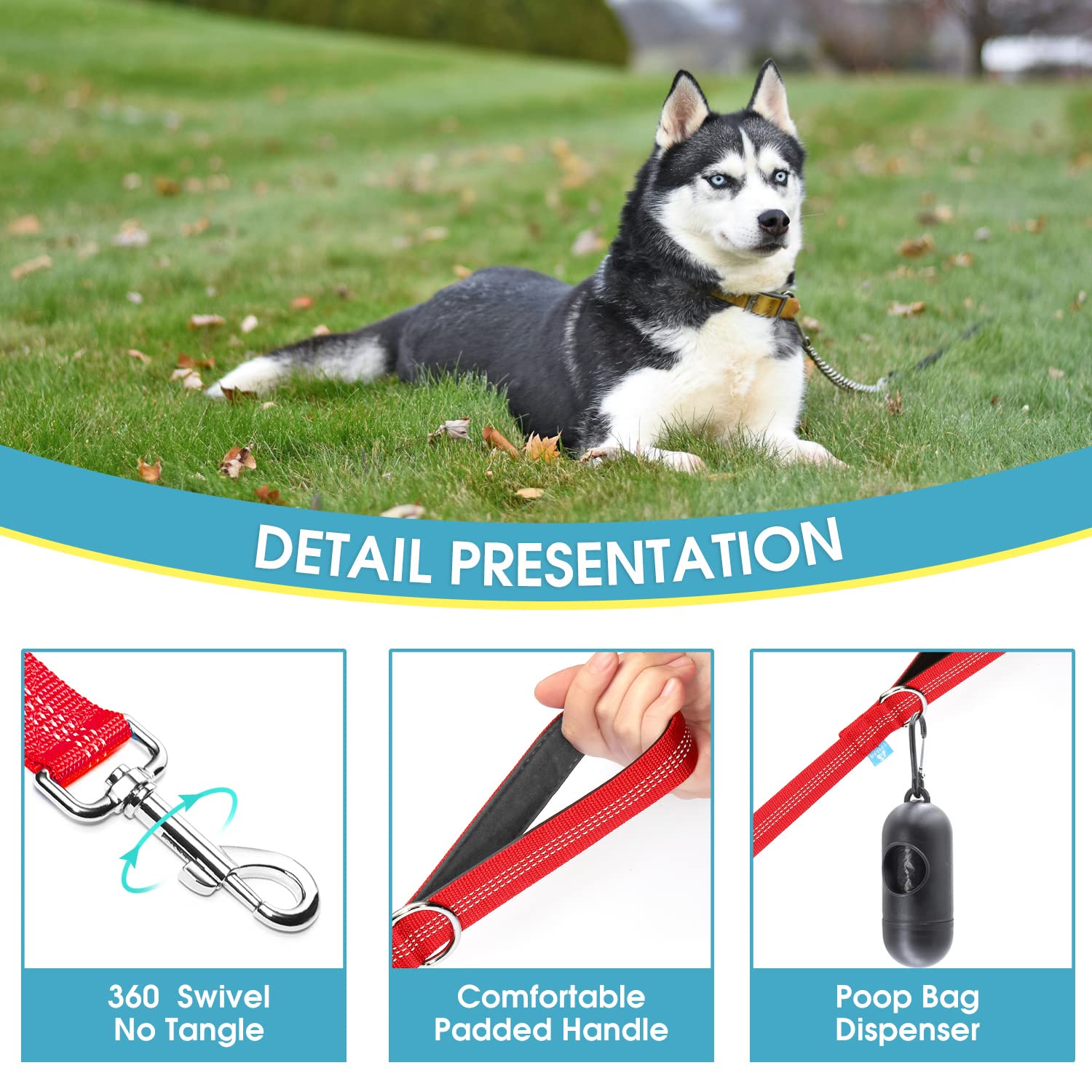 Snapklik.com : BAAPET Two Handle Dog Leash, Dual Soft Padded Handles