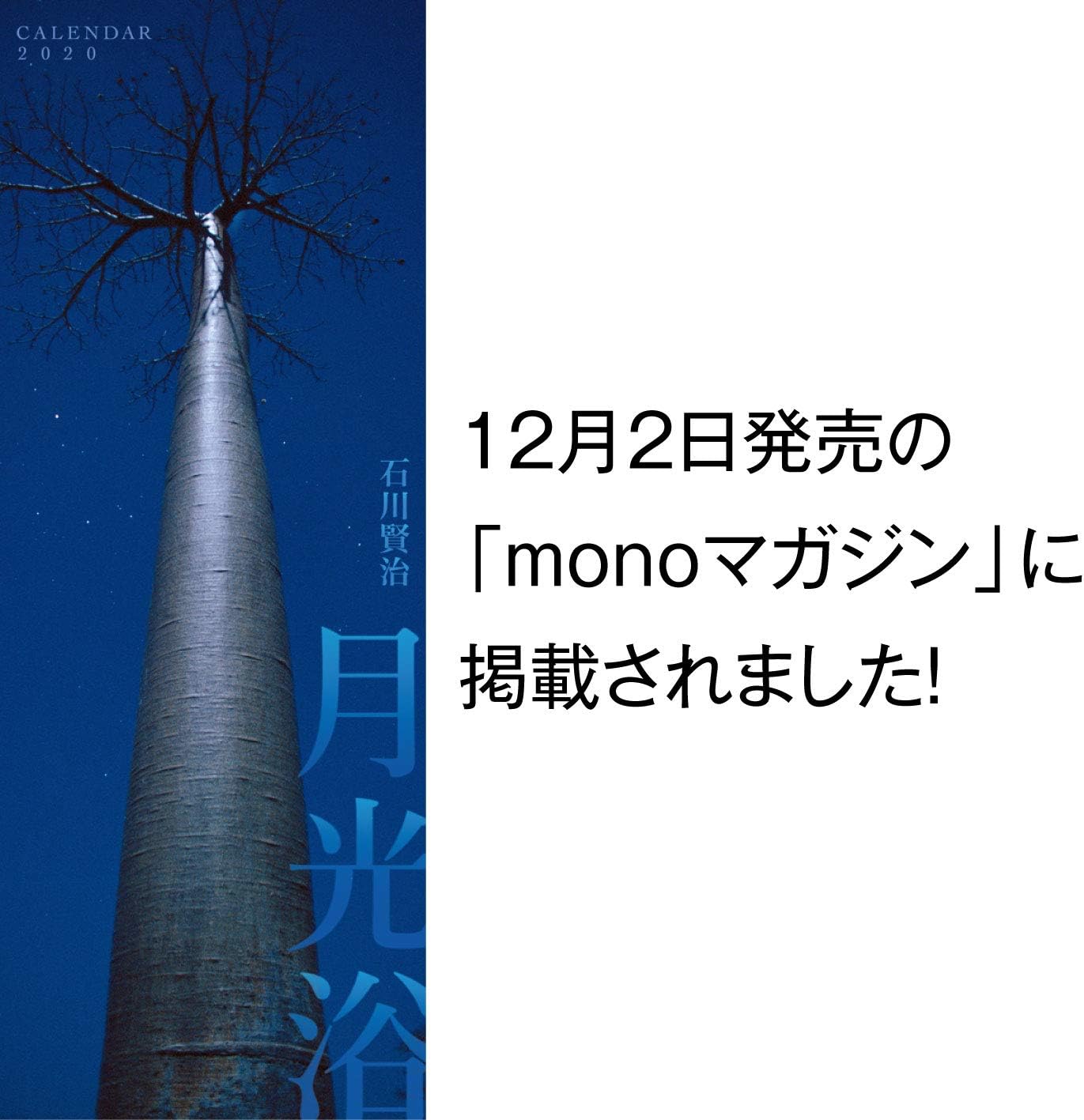 Amazon.com: JAPANESE CALENDAR Bunkado Printing 2020 Moonlight Bath ...
