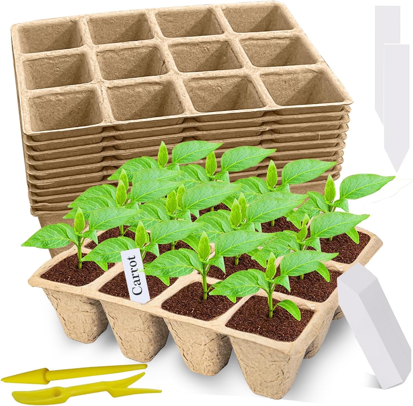 Amazon.com : wyewye 30 PCS 360 Cells Plant Germination Trays with Plant ...