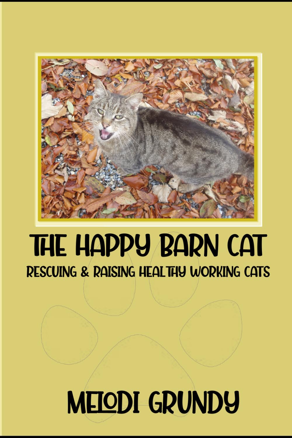 The Happy Barn Cat: Rescuing and Raising Healthy Working Cats: Grundy ...