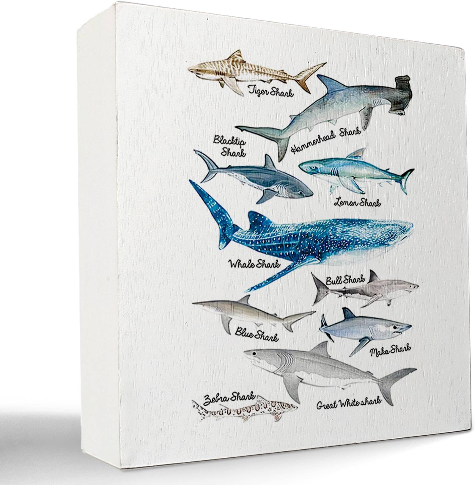 Amazon.com: kunlisa Sea Life Shark Educational Ocean Animal Wooden Box ...