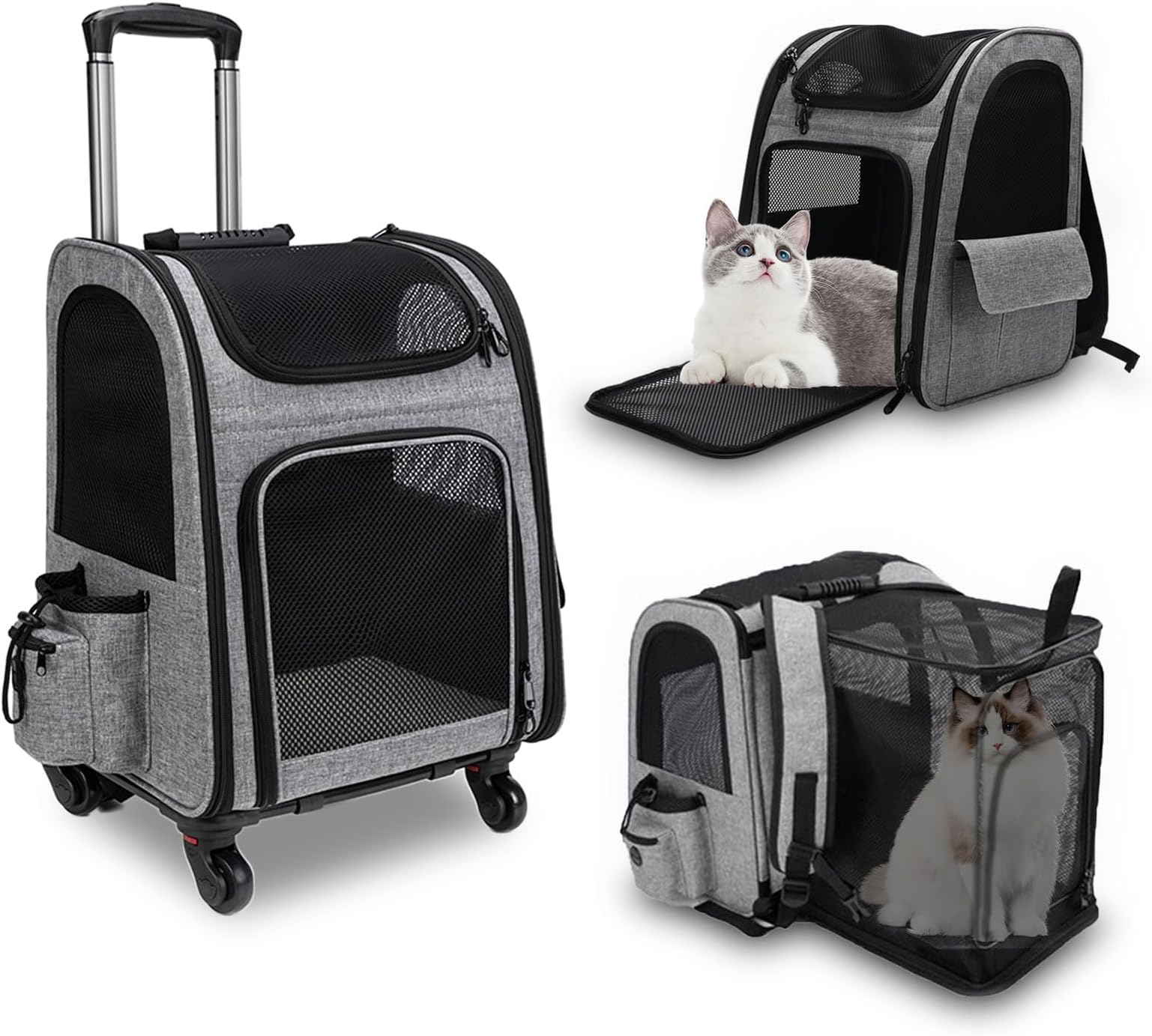 Sac à dos pour chat avec roulettes, sac à dos, sac à dos de voyage pour ...