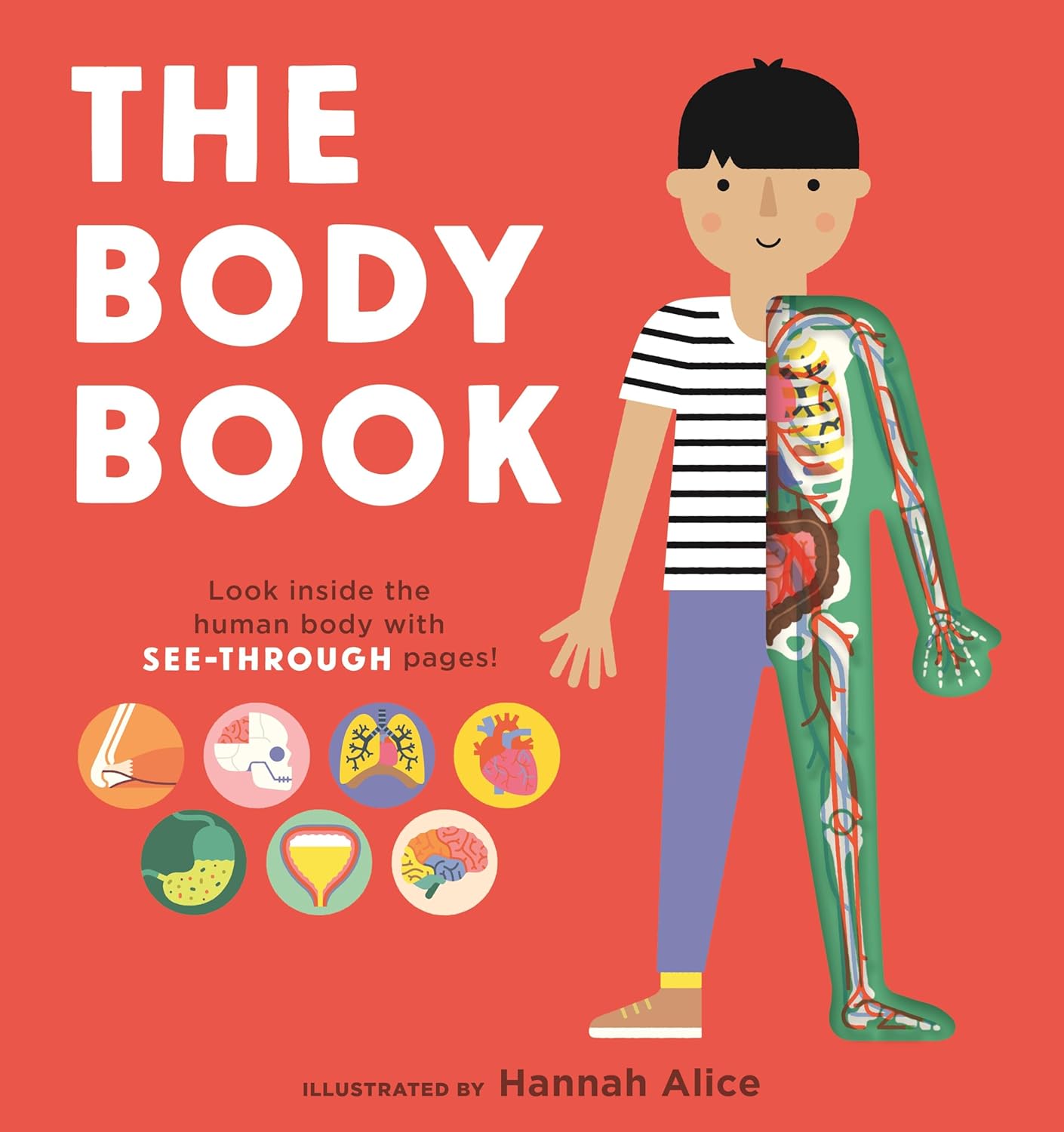 The Body Book (See-Through Science): Alice, Hannah: 9781536217254 ...
