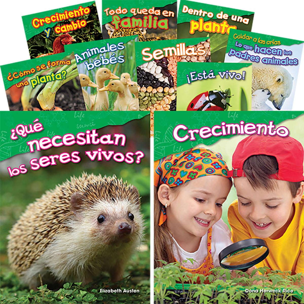 Let's Explore Life Science Grades K-1 Spanish, 10-Book Set (Science ...