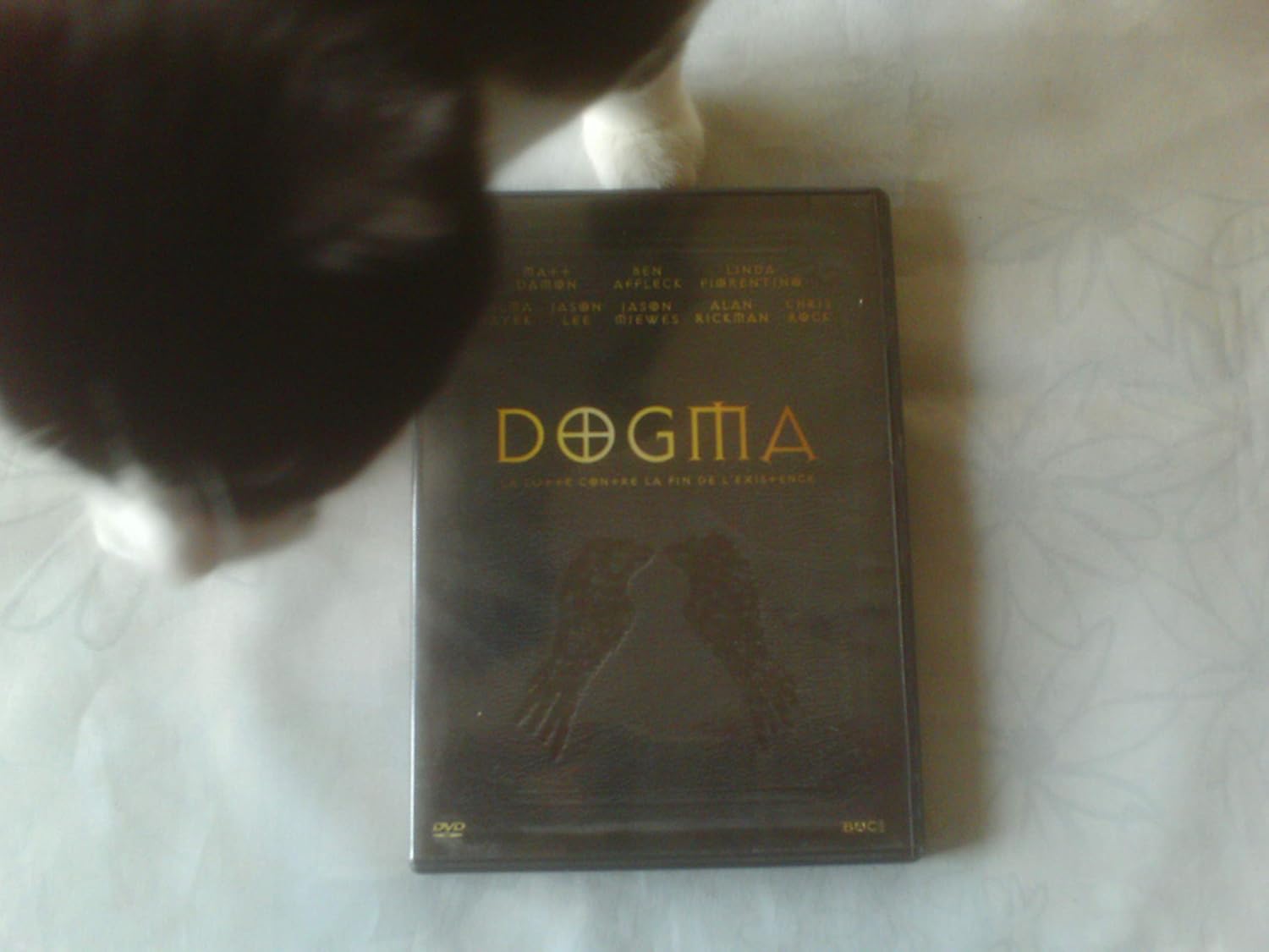 Dogma - DVD: Amazon.co.uk: Fiorentino Linda: DVD & Blu-ray
