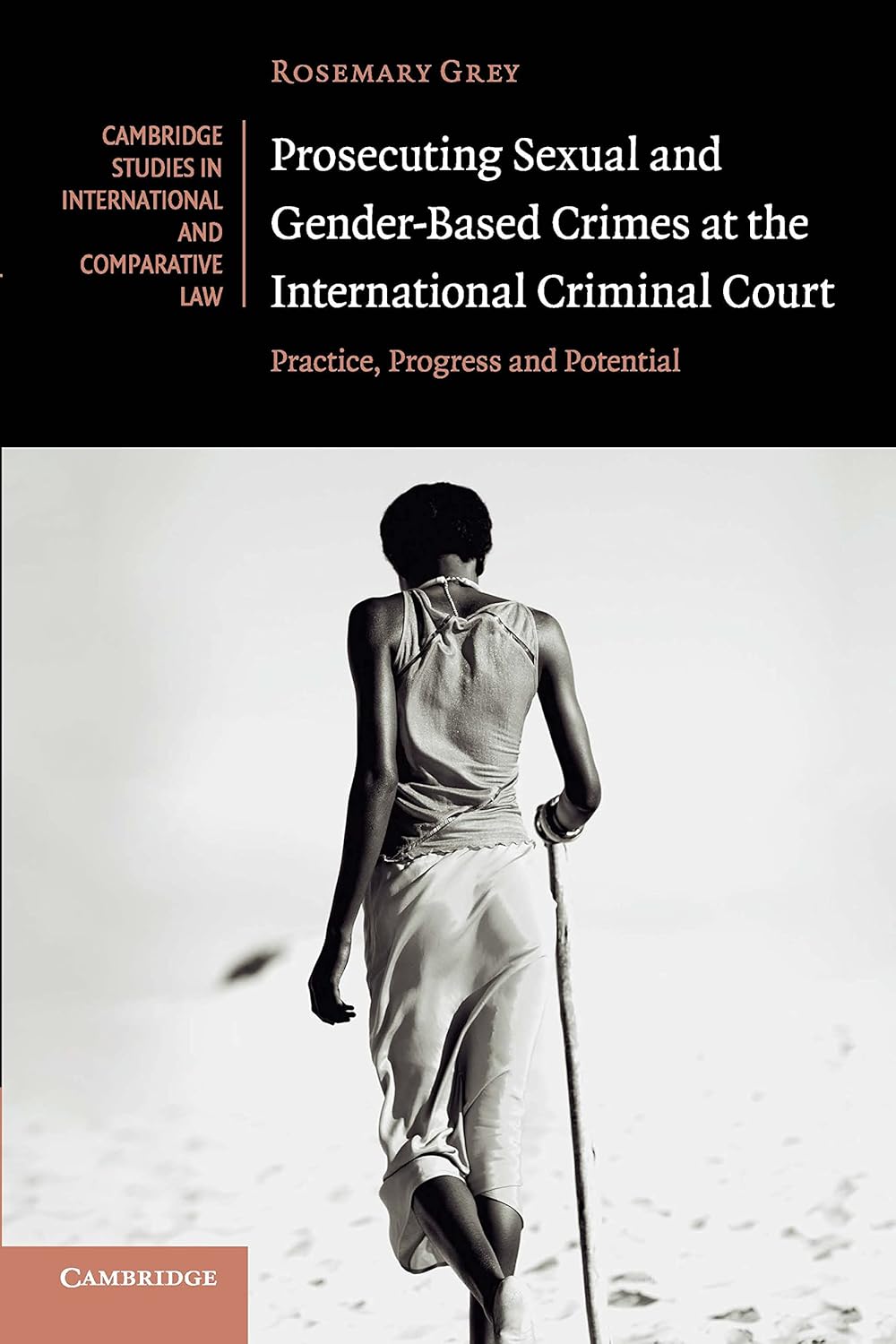 Prosecuting Sexual and Gender-Based Crimes at the International ...
