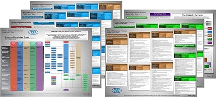 Project Management Process Posters 5th Edition - 18" x 24": True ...
