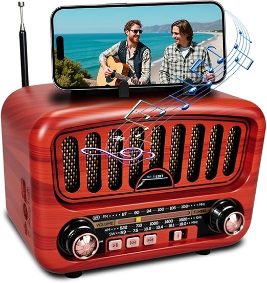 Poste Radio Portable avec Haut-Parleur Bluetooth, AM/FM/SW Petite Radio ...