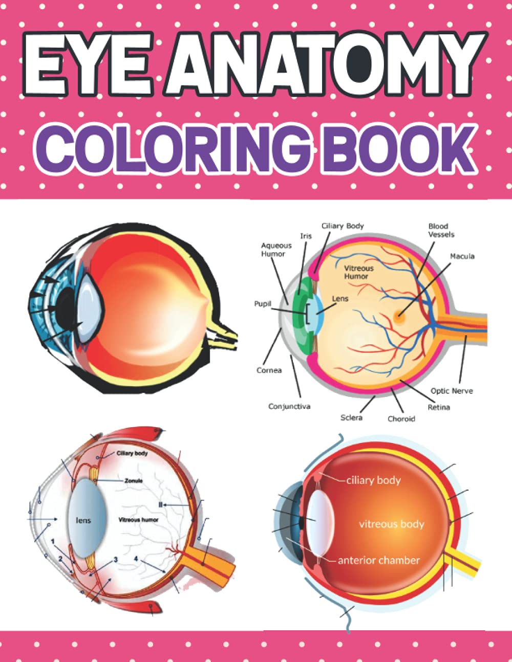 Eye Anatomy Coloring Book Human Eye Coloring Book For Kids | Desertcart ...