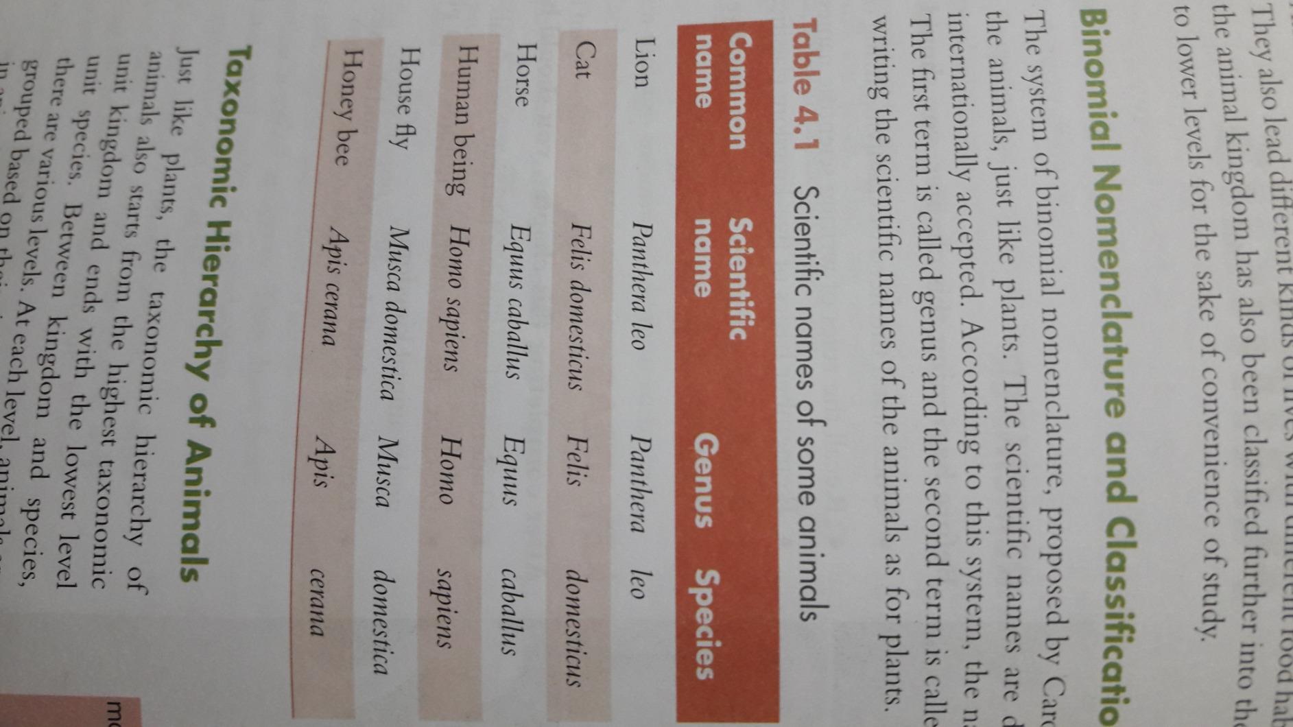 Buy Pearson Foundation Series | Class 9 Biology | 2020 Edition Book ...