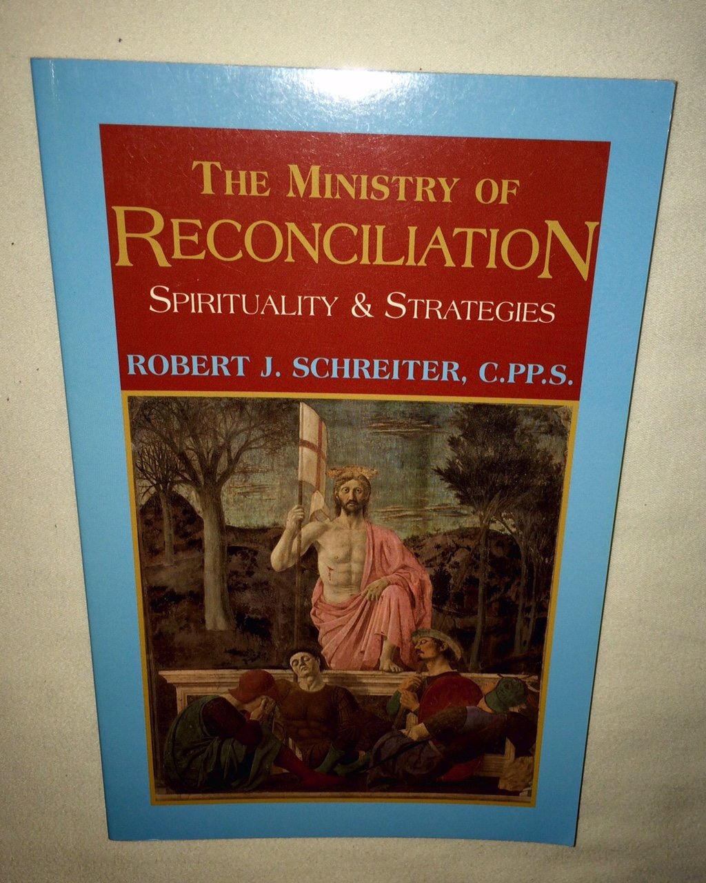 The Ministry of... by Schreiter C.PP.S., Robert J.