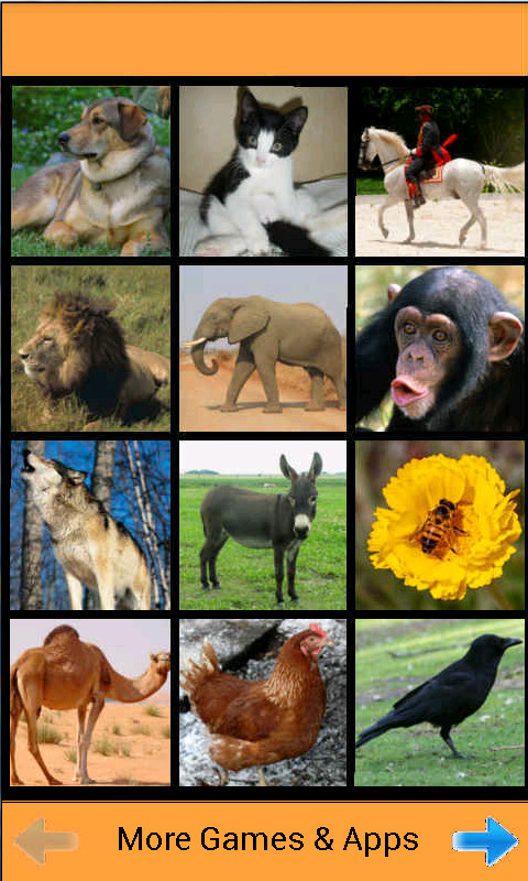 Zoo Sound Board - App on Amazon Appstore