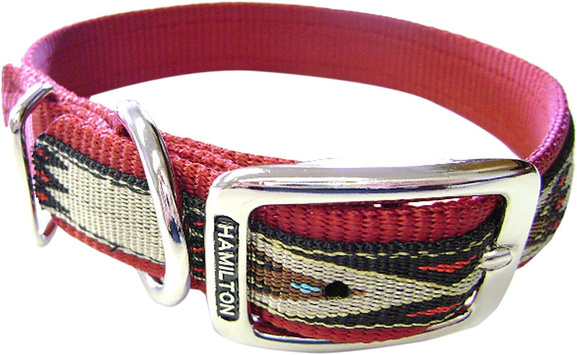 Amazon.com : Hamilton 1-Inch Single Thick Nylon Deluxe Dog Collar, 26 ...