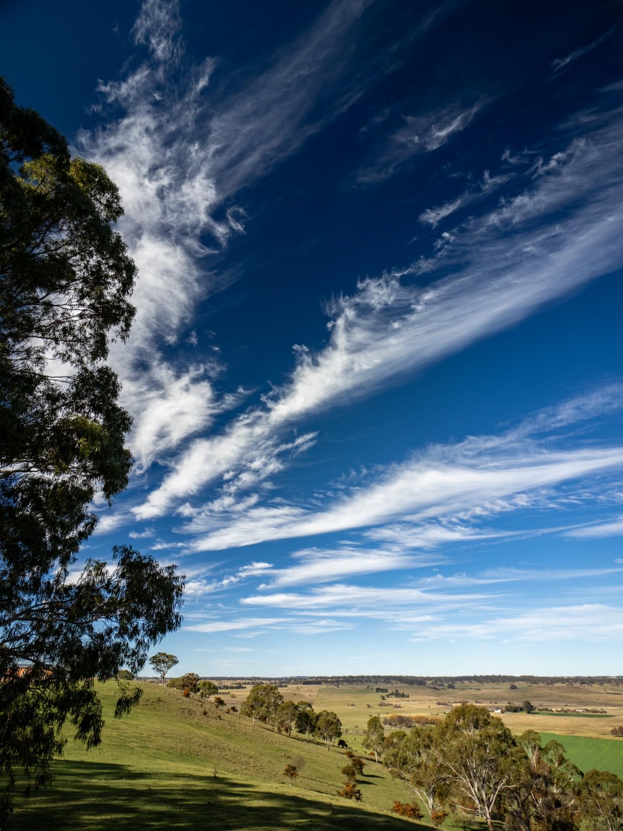 Amazon Basics Circular Polarizer Camera Lens Filter - 58 mm : Amazon ...