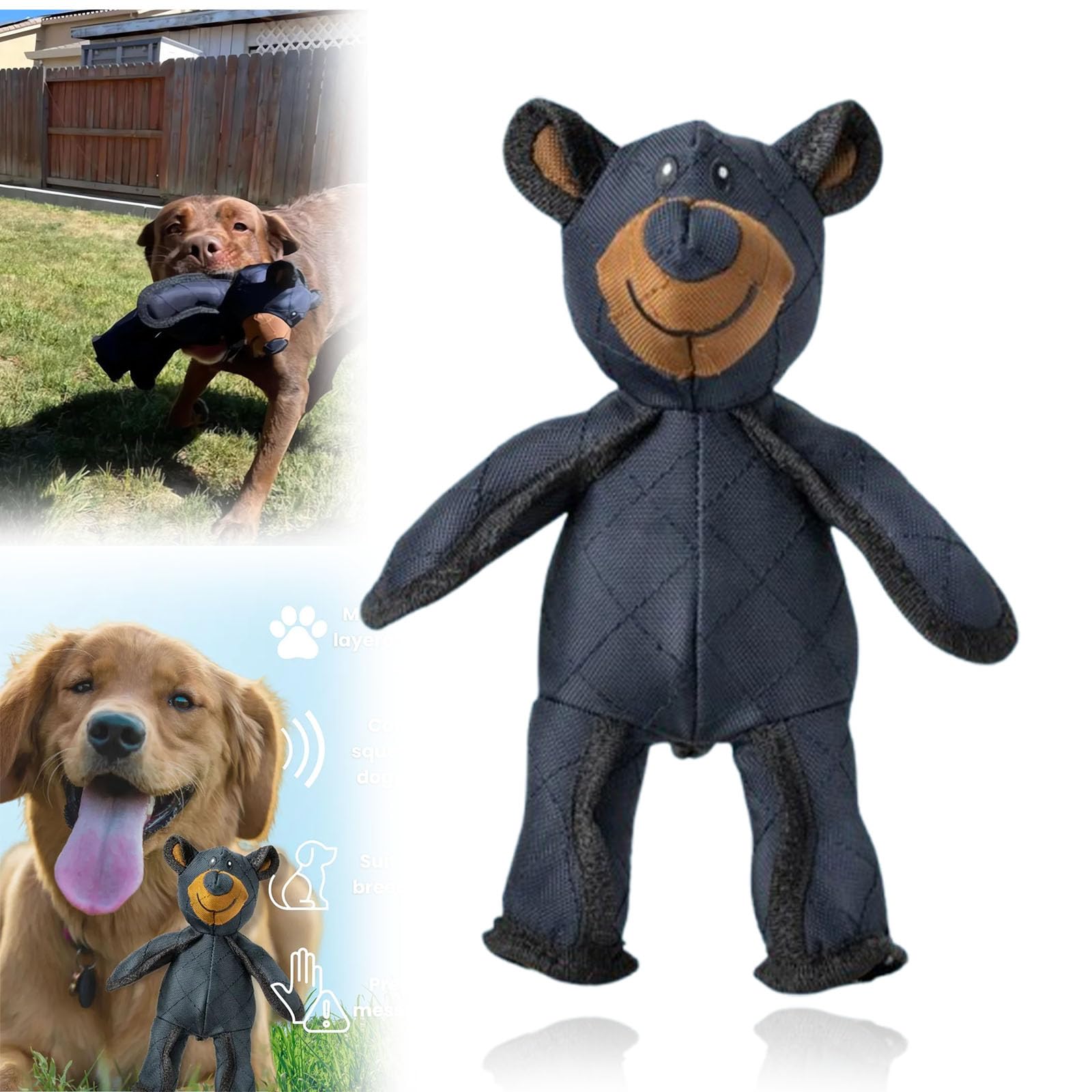 Pet Bear