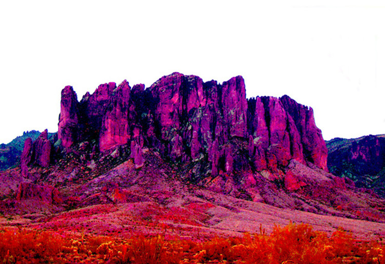 Amazon.com: Sarah Rachel Still: books, biography, latest update