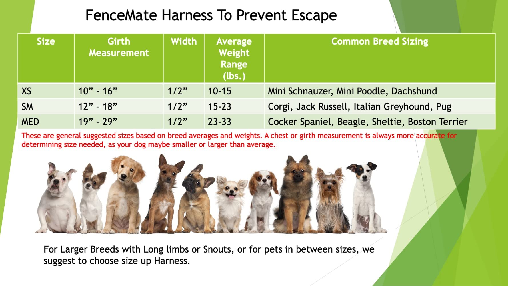 How Long Does It Take To For A Dog To Mate
