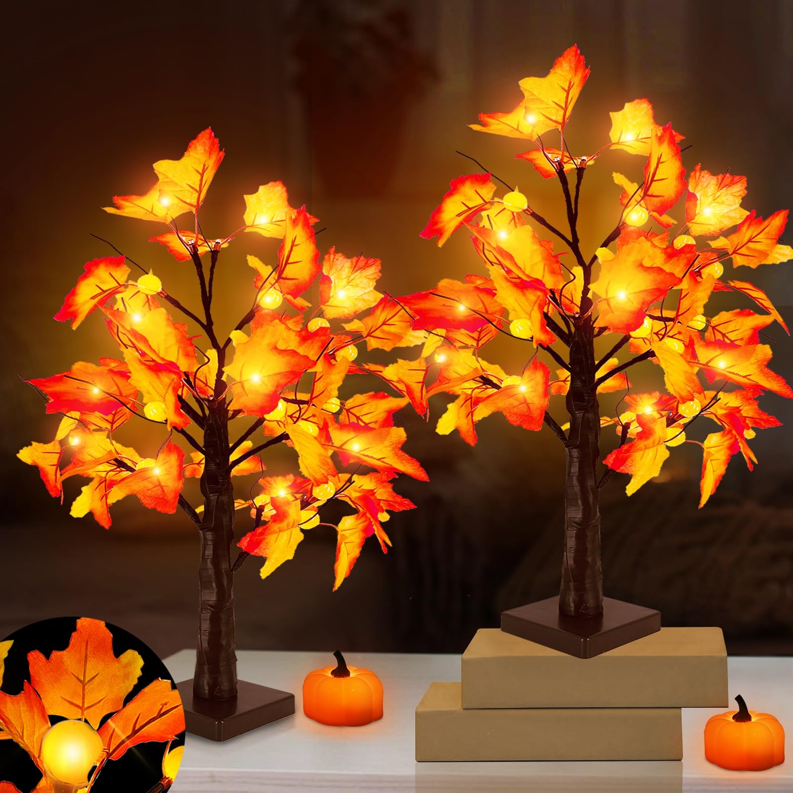 Red And Orange Autumn Trees