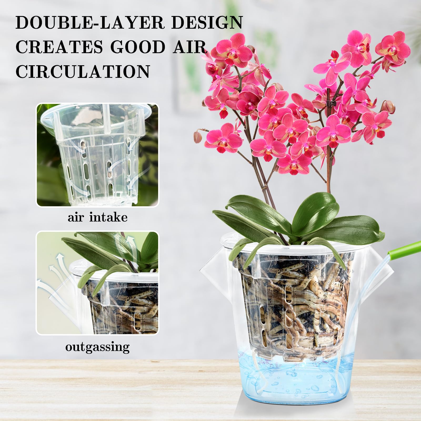 Natural Orchid Containers