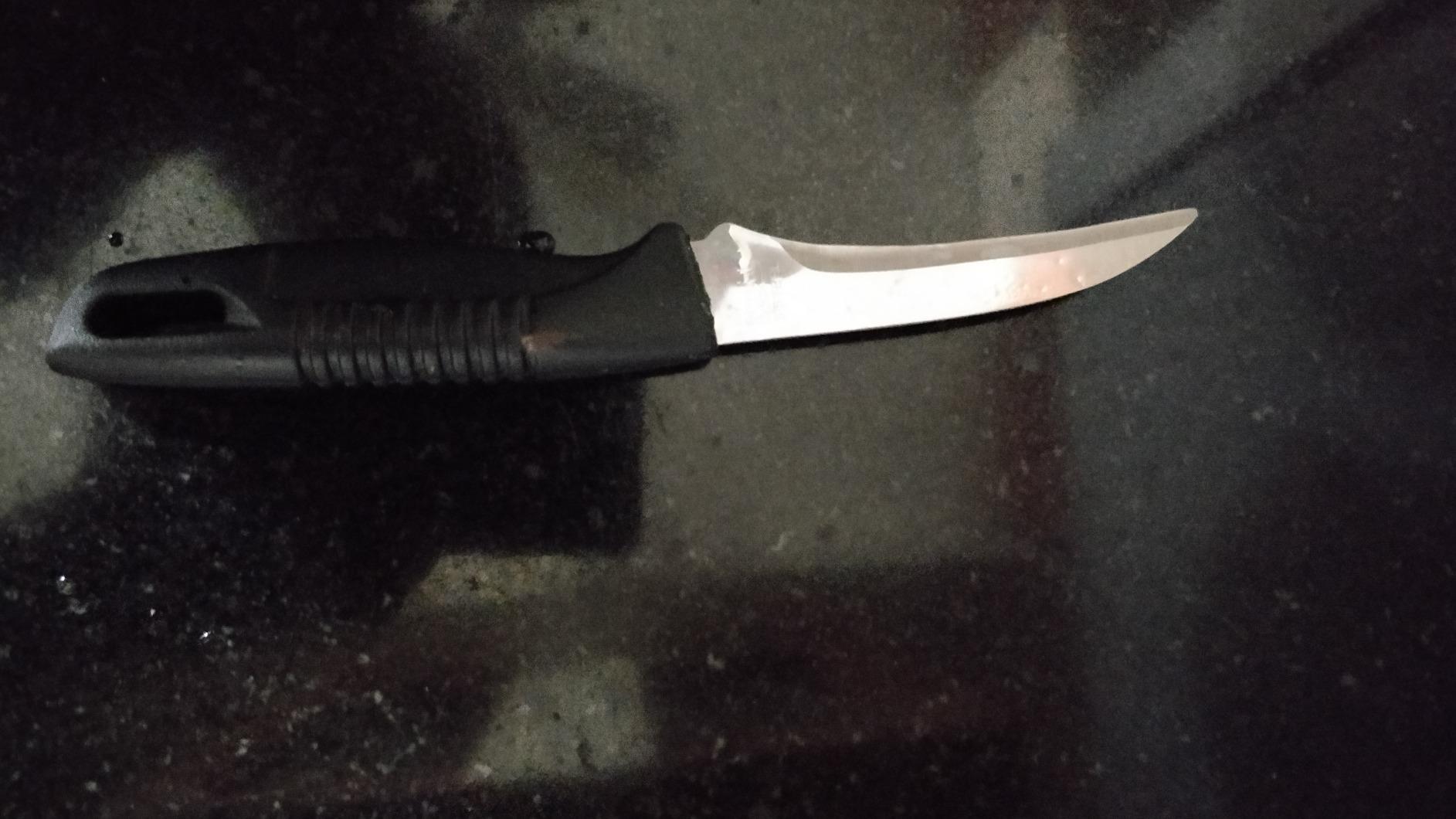 Buy Abee Carving & Coring Knife – 3″ Stainless Steel Precision Blade ...