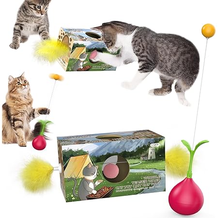 Amazon.com : Hihope Cat Toys for Indoor Cats 2in1 Wobble Teaser Wand ...