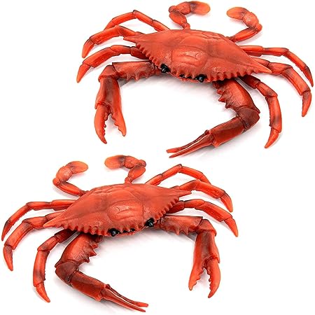 Amazon.com: Hiawbon 10 Pieces Realistic Crab Figurine Models Artifical ...