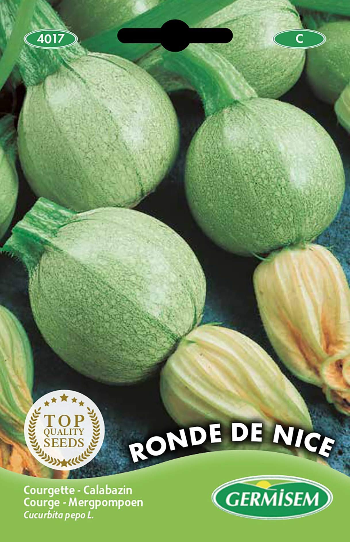Vilmorin - Sachet graines Courgette de nice à fruit rond : Amazon.fr ...