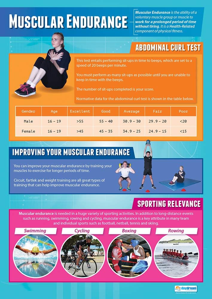 Muscular Endurance | PE Posters | Gloss Paper measuring 850mm x 594mm ...