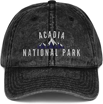 Acadia National Park Hat | National Park Hats - Vintage Cap - Hilarious ...