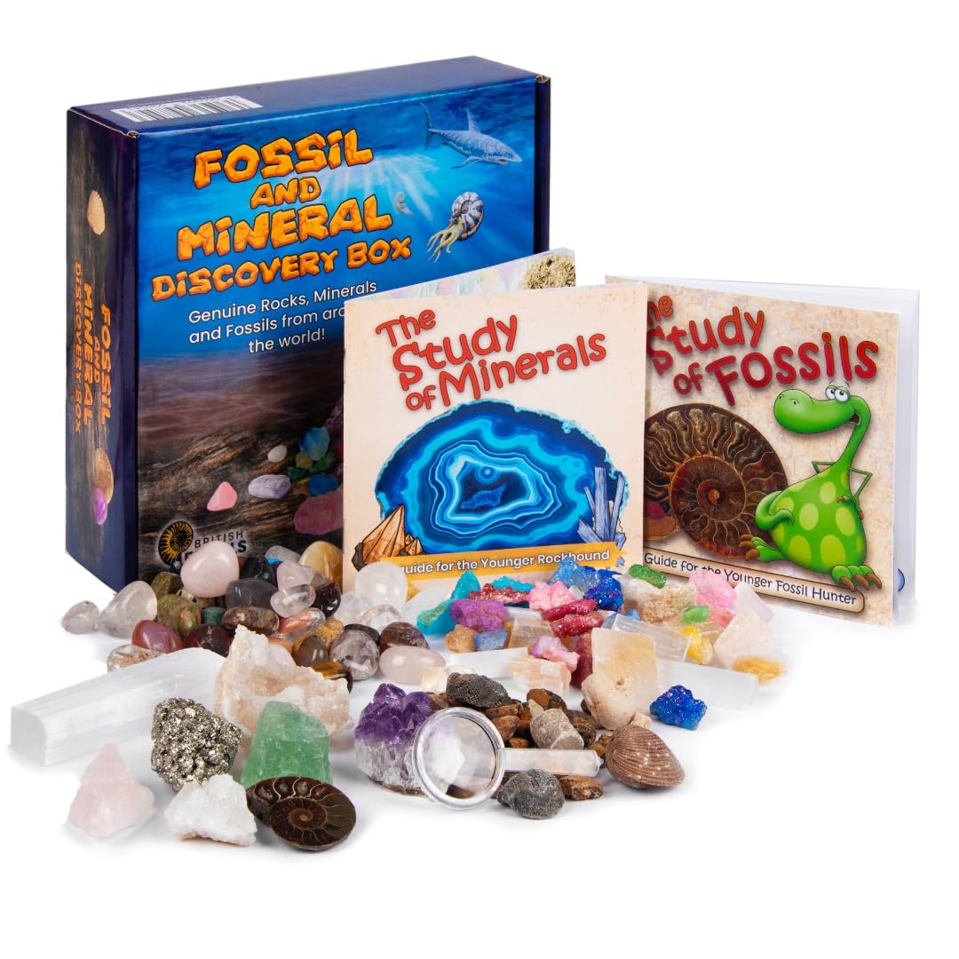 Ultimate Rock, Fossil & Mineral Discovery Starter Kit – Hand – Selected ...