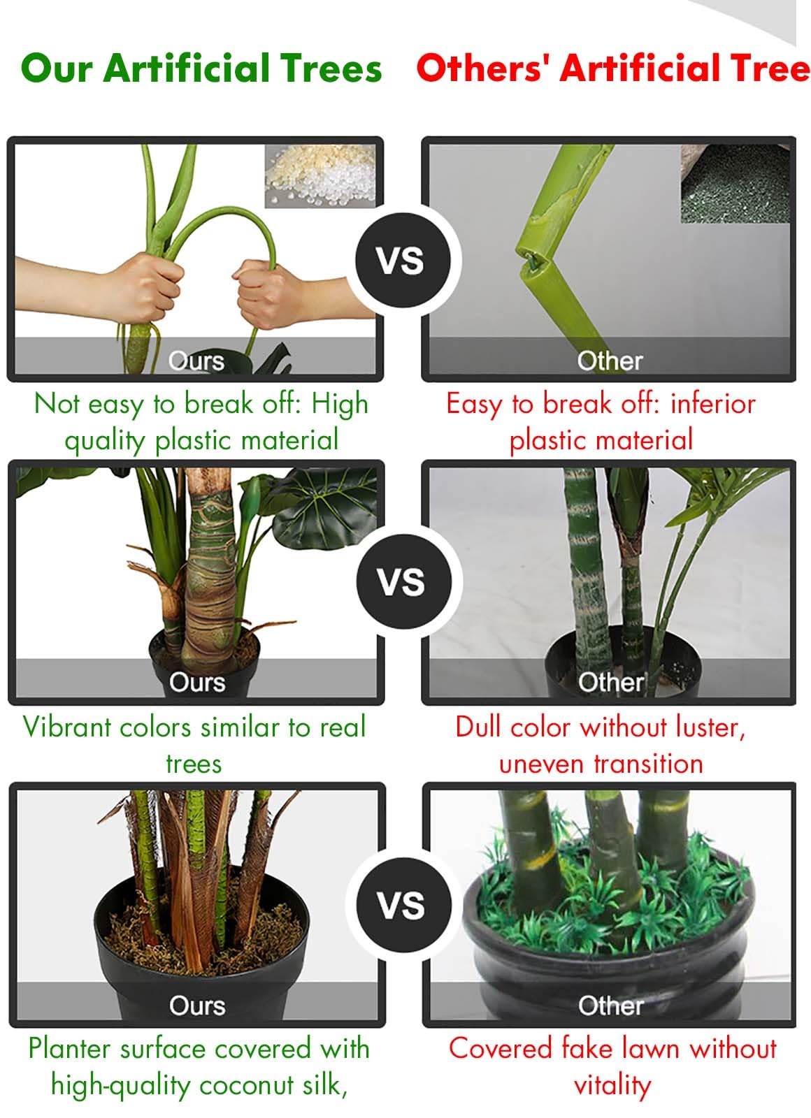 Plant Identification Indoor Tropical Trees Sago Palm Indoor House