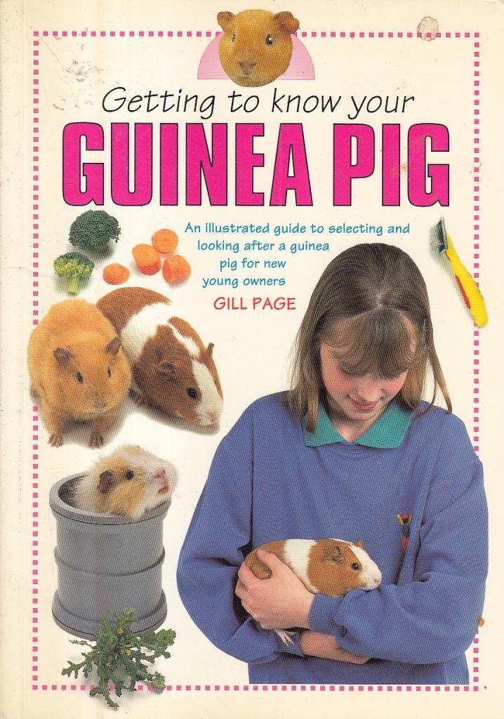 Getting to Know Your Guinea Pig: Gill Page: 9781842861158: Amazon.com ...