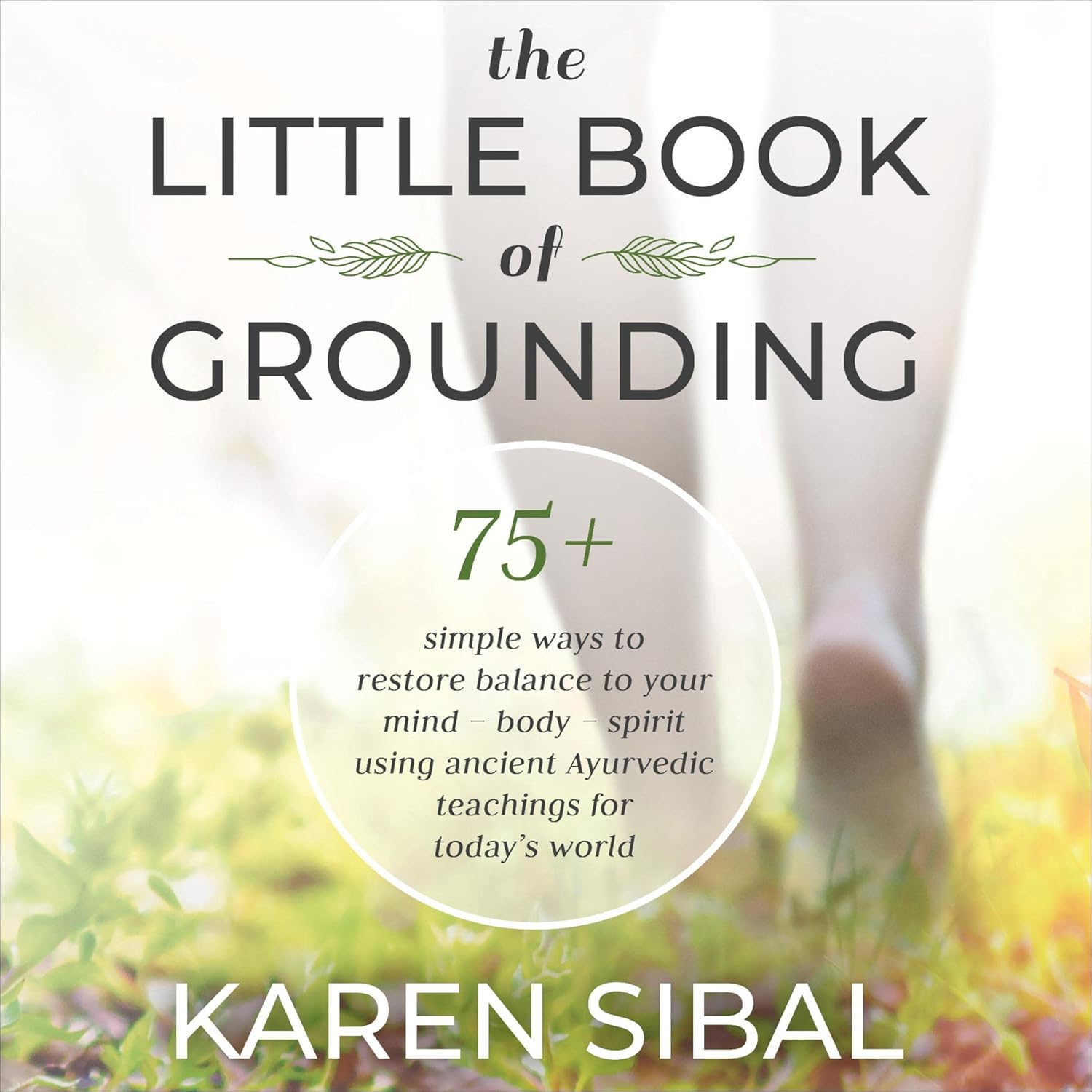 Amazon.com: The Little Book of Grounding: Seventy-Five Simple Ways to ...