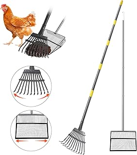 Safe Kitchen Practices: Proper Cleaning After Handling Raw Chicken ...