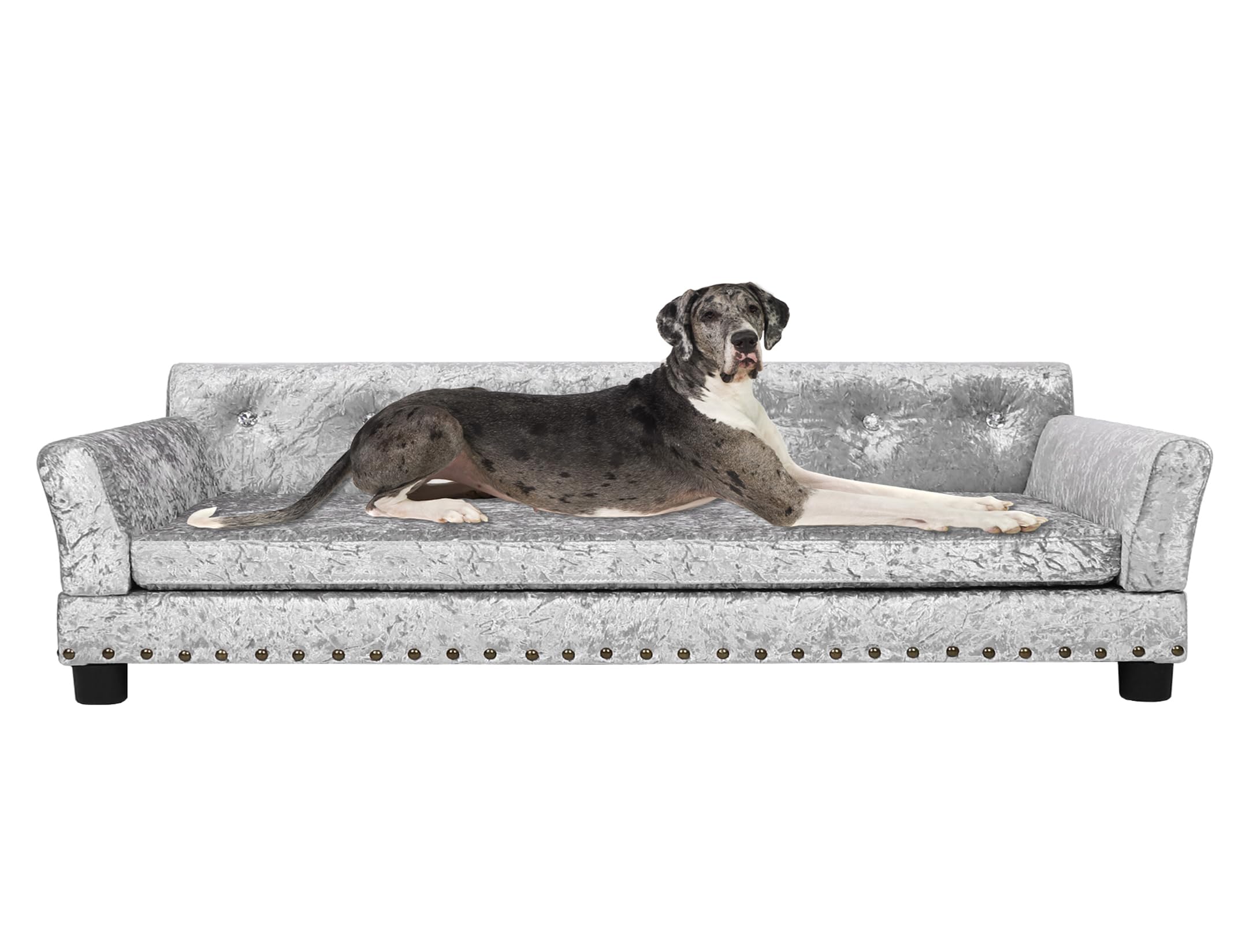 BingoPaw Large Dog Sofa Couch: Luxury Velvet Upholstered Pet Sofa ...