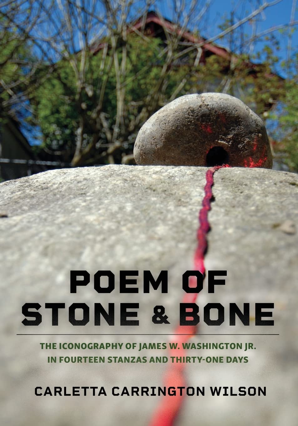 Amazon.com: Poem of Stone and Bone: The Iconography of James W ...