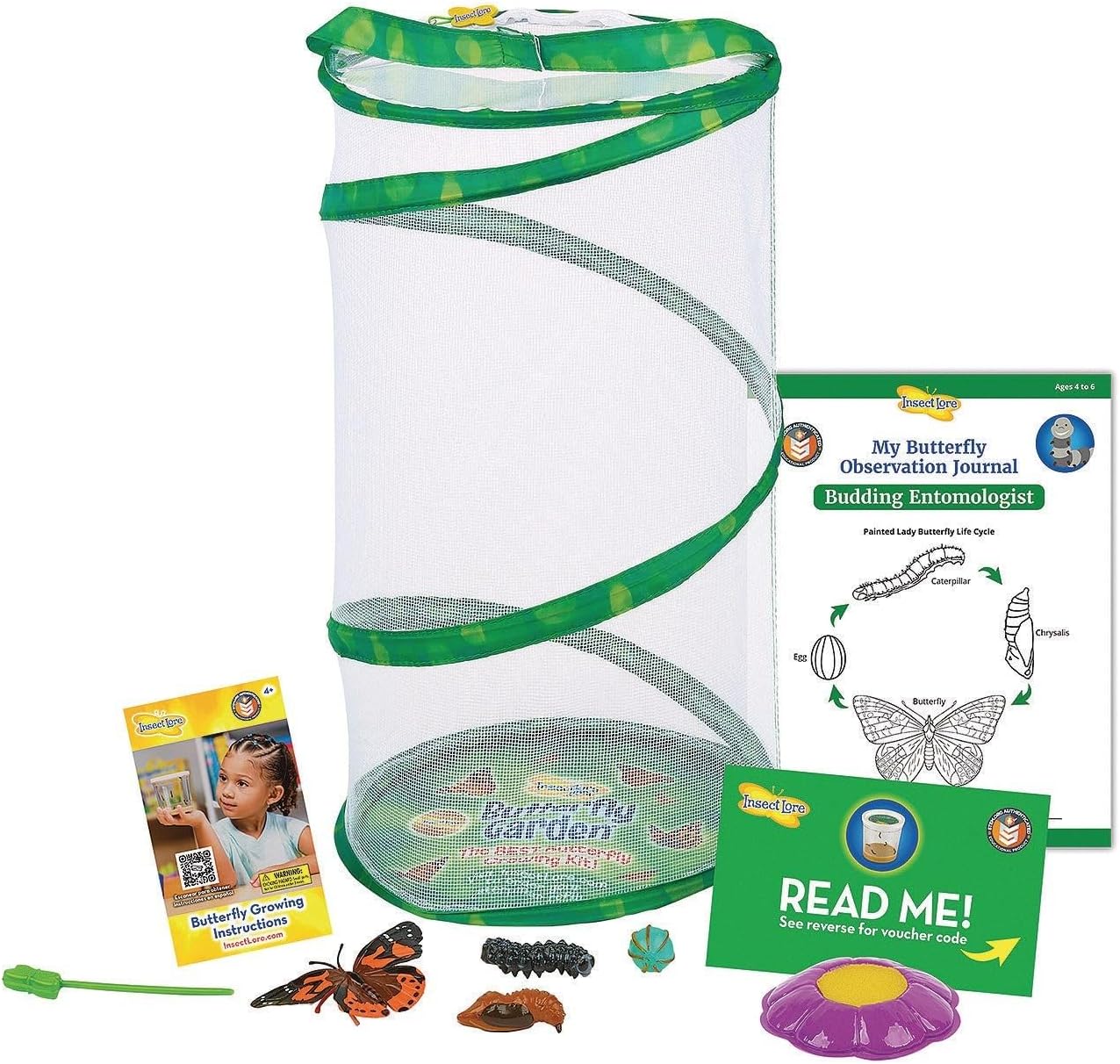 Insect Lore Giant Butterfly Garden Kit (Packaging May Vary) : Amazon.co ...