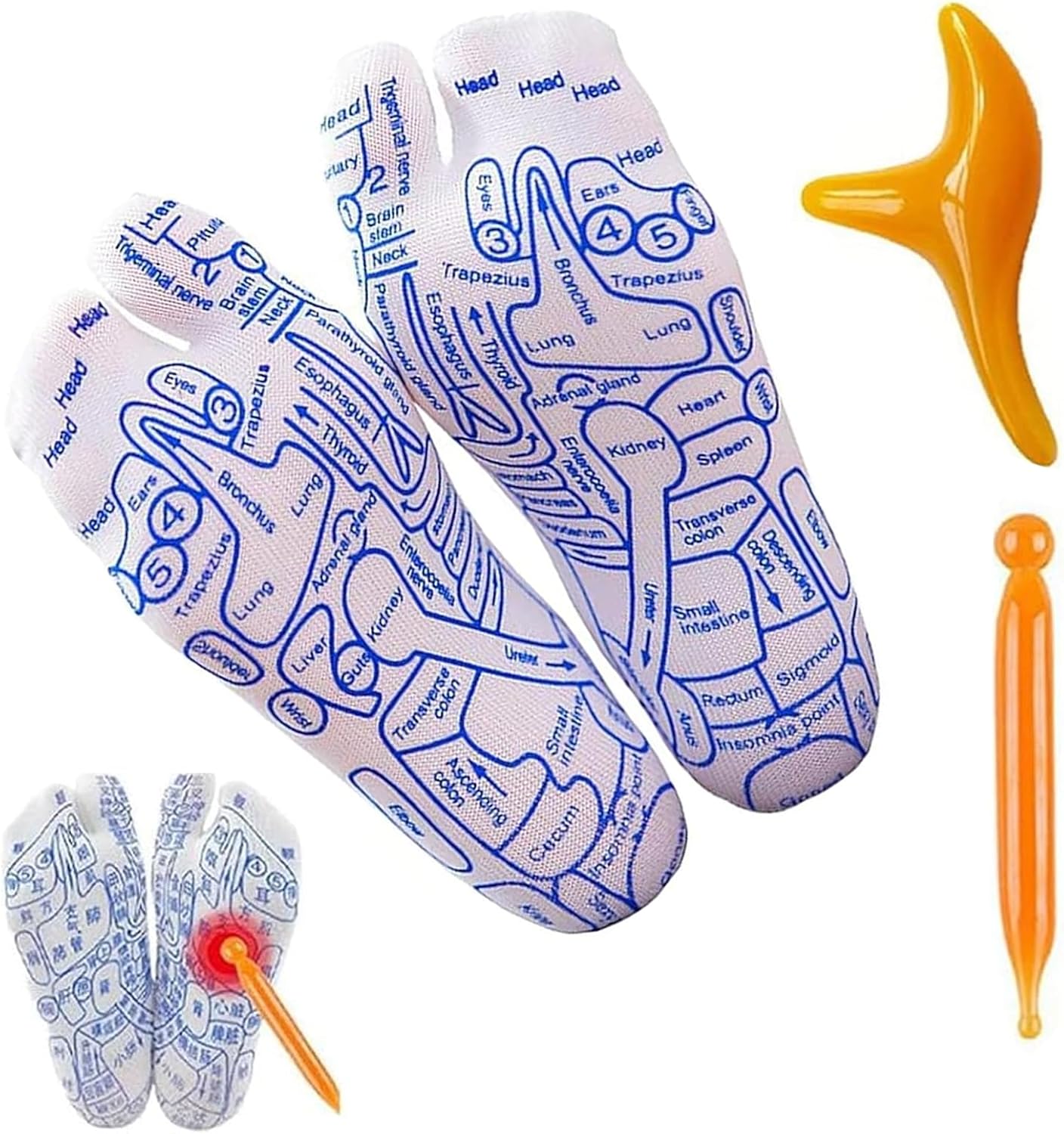 Amazon.com: Generic Reflexology Socks with Tools, 12.4in Pressure Point ...
