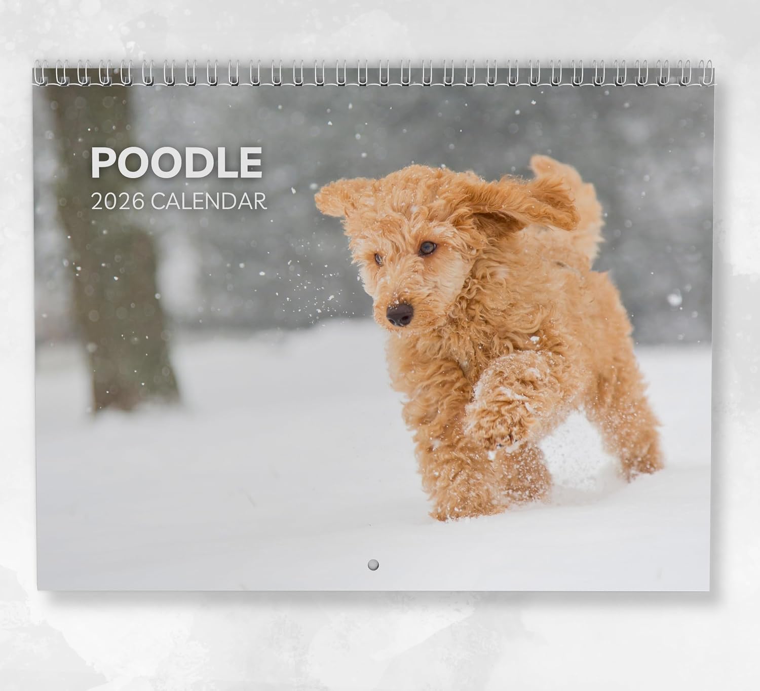 Poodle Calendar 2026: Monthly Wall Calendar with Notes, Hanging A4 Size ...