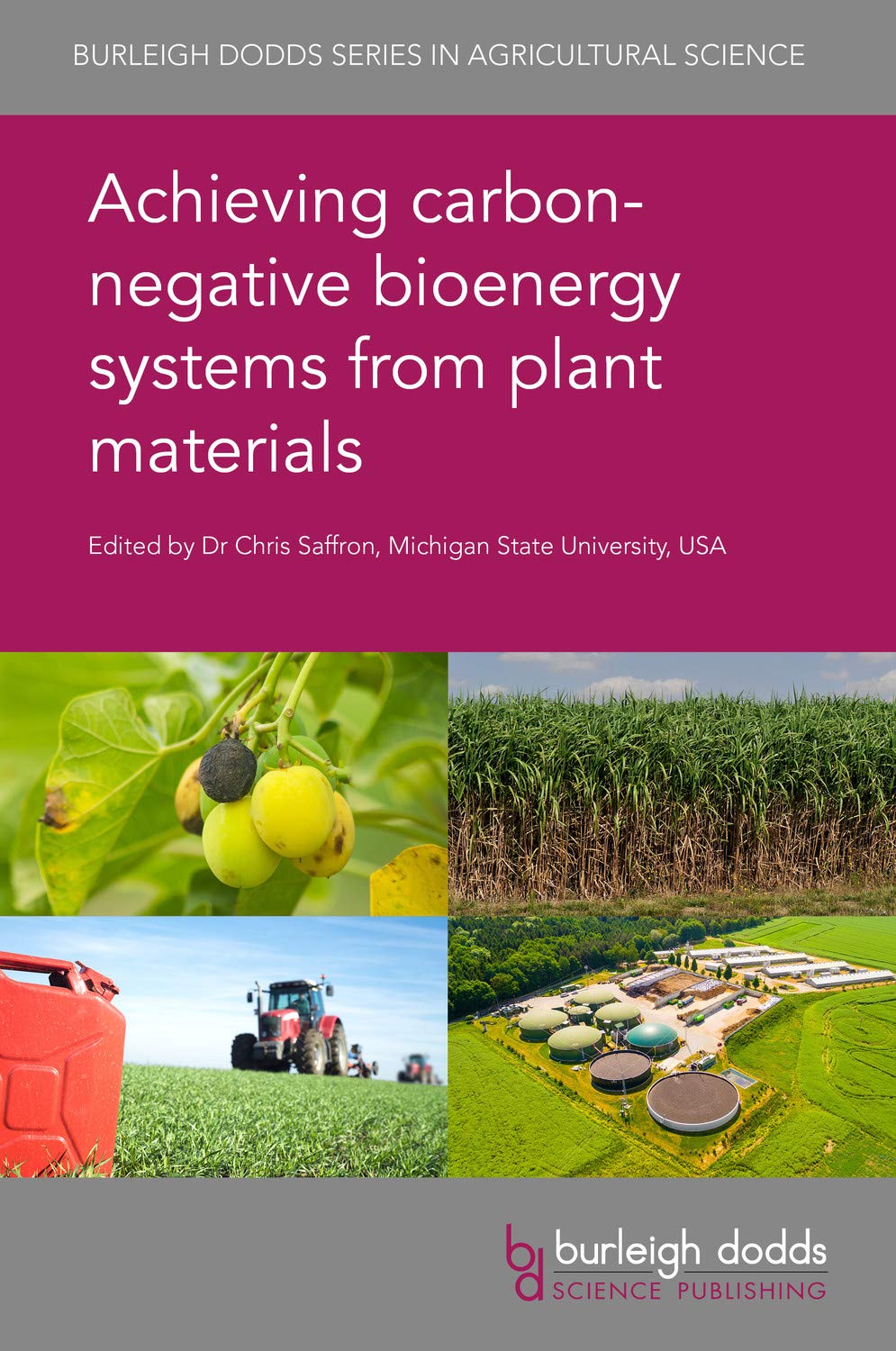 Achieving carbon-negative bioenergy systems from plant materials ...