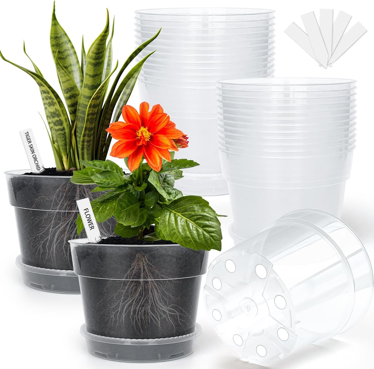 Amazon.com: BTPLASTIK Clear Plastic Nursery Pots for Plants, 6 Inch ...