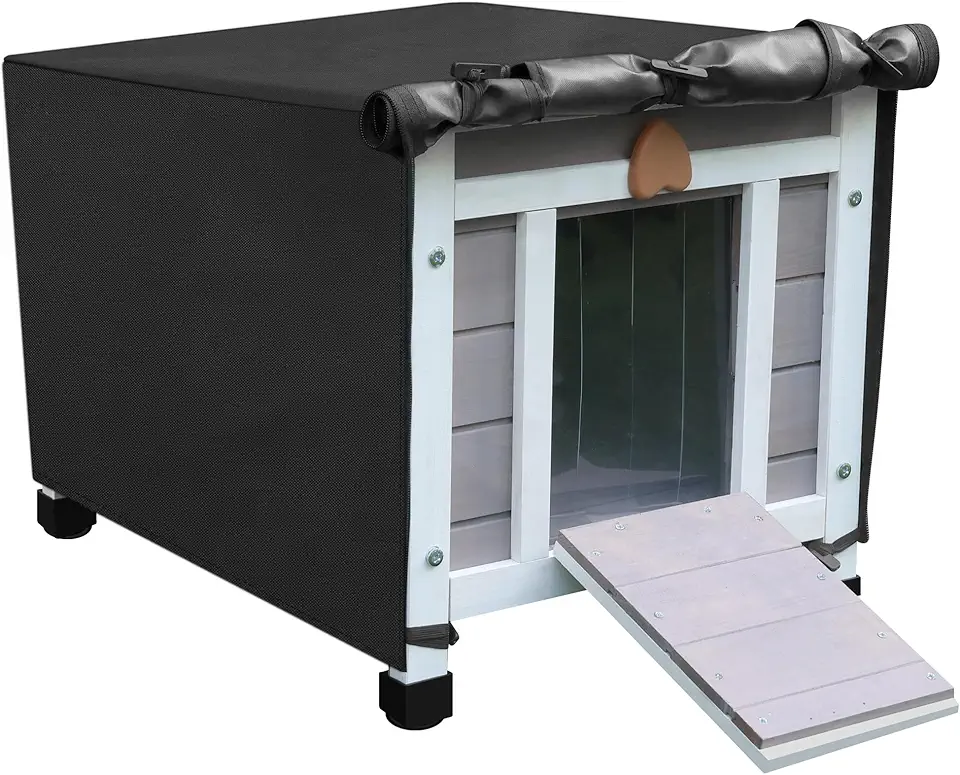 Cat Drop-Off Locations: Where To Safely Surrender Your Cat | PetShun