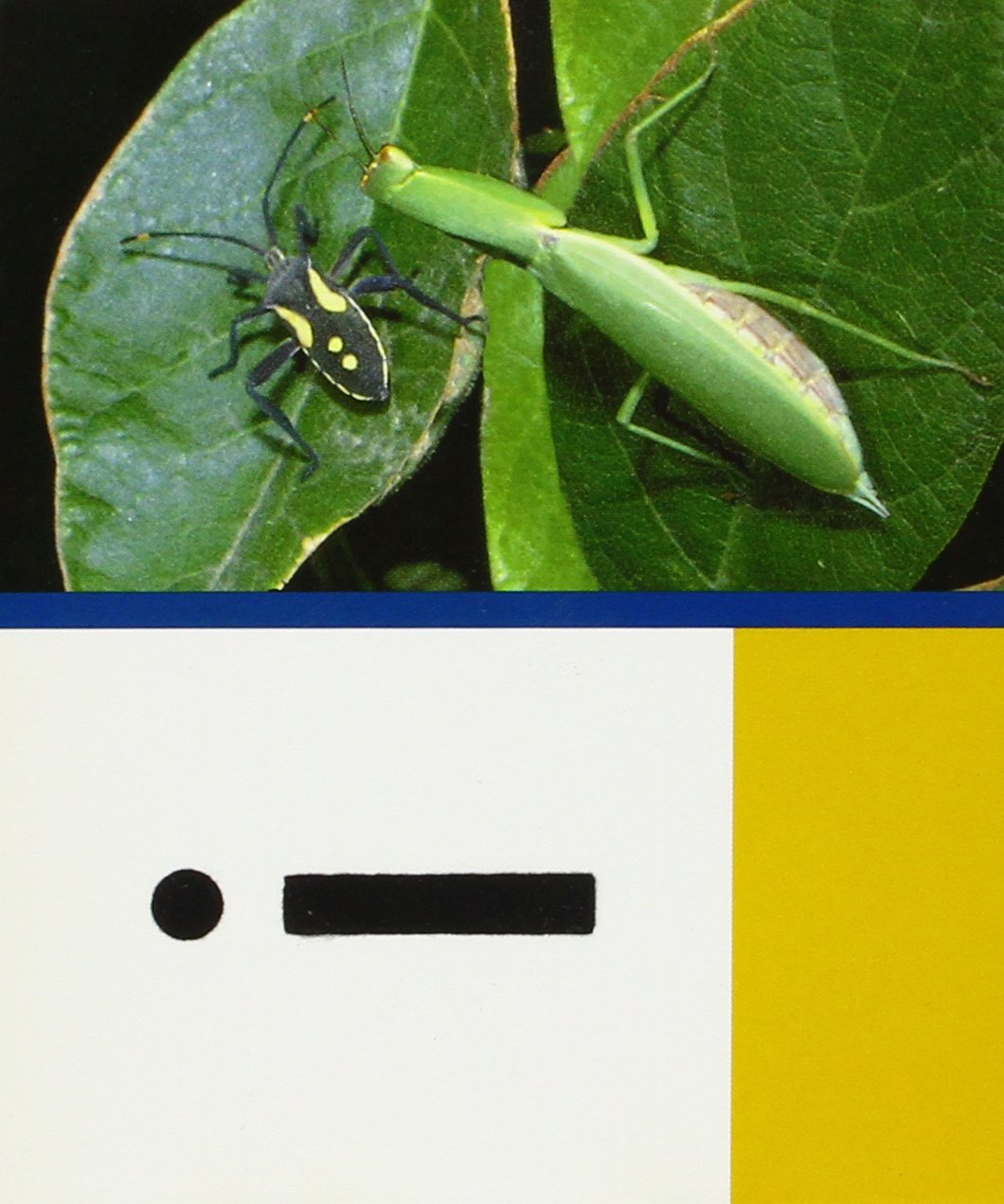 Amazon.com: Pm: Alphabet Starters Letter I (Rigby Pm): 9780763542368 ...