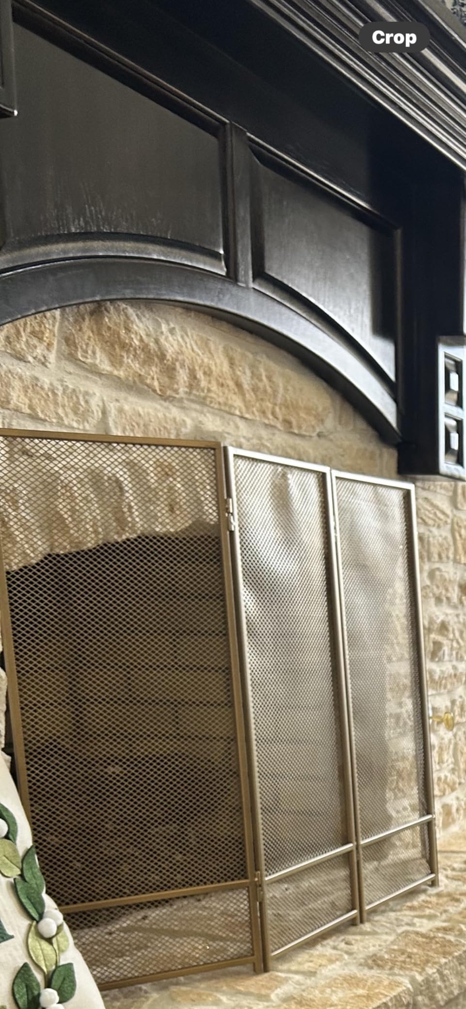 Amazon.com: Ilyapa 4-Panel Metal Fireplace Screen for Wood Burning ...