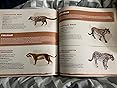 Prehistoric World: Over 1,200 Incredible Mammals and Discoveries from ...