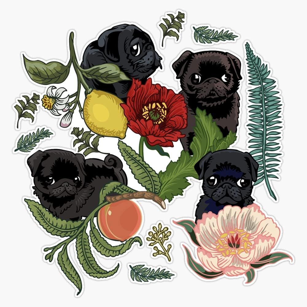 Amazon.com: Botanical and Black Pugs Vinyl Waterproof Sticker Decal Car ...