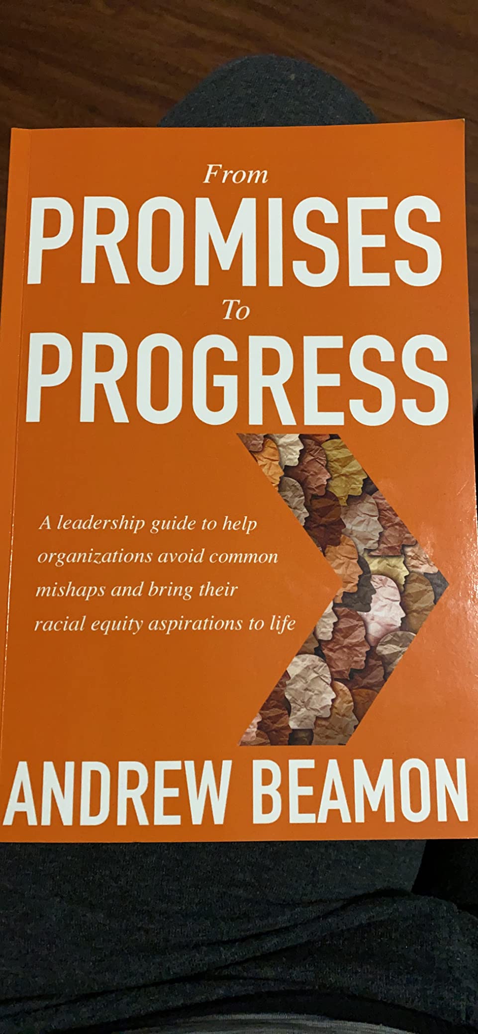 From Promises To Progress: A leadership guide to help organizations ...