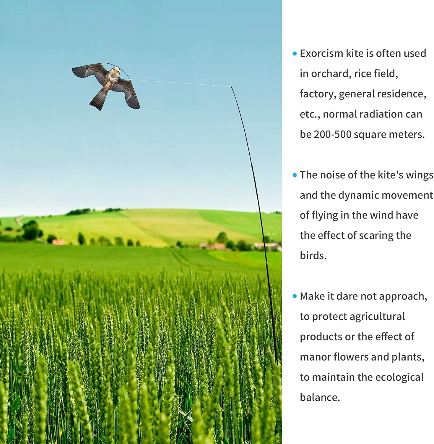 Laptony Bird Scarer Flying Kite Crops Farm Protector Bird Hawk Flying ...