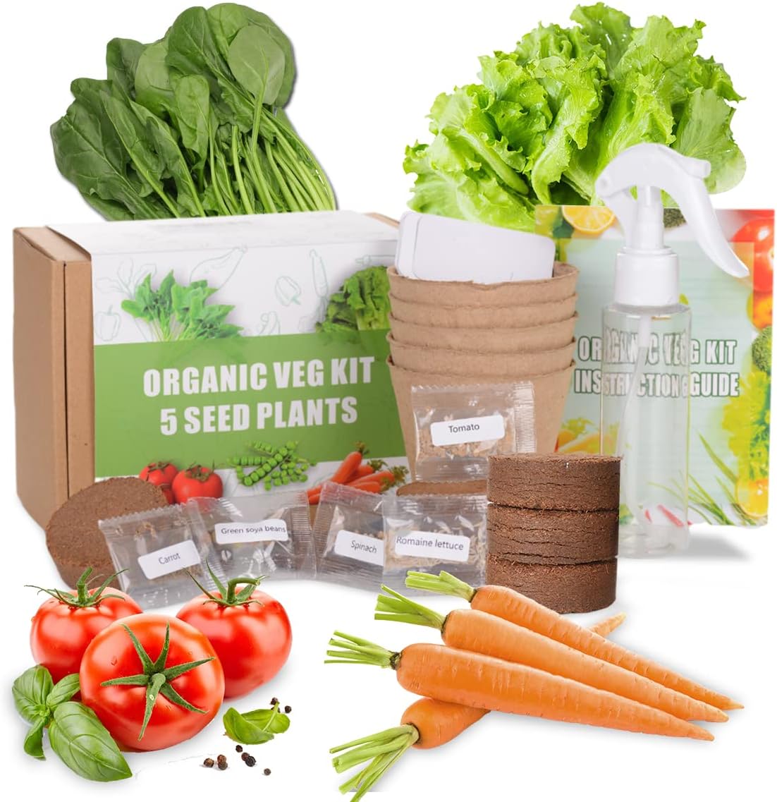 Amazon.com : Indoor Vegetable Starter Kit - 5 Vegetable Seeds Growing ...
