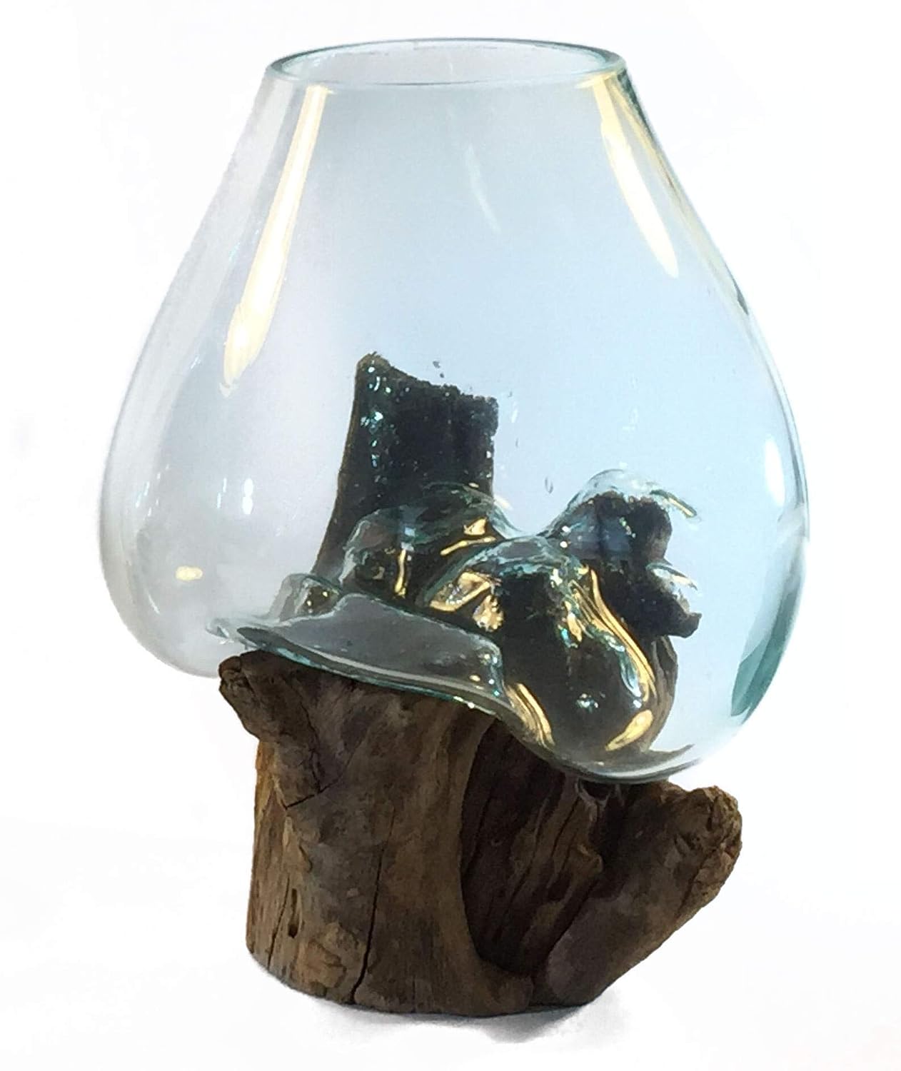 Amazon.com: Hand Blown Molten Glass on Wood Root Base Sculpture - Large ...
